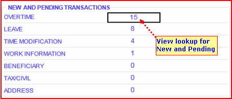 Lookup Details for OVERTIME NEW AND PENDING TRANSACTIONS: